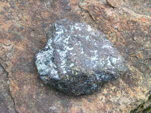 California State Rock an Endangered Species? | Natural History Wanderings