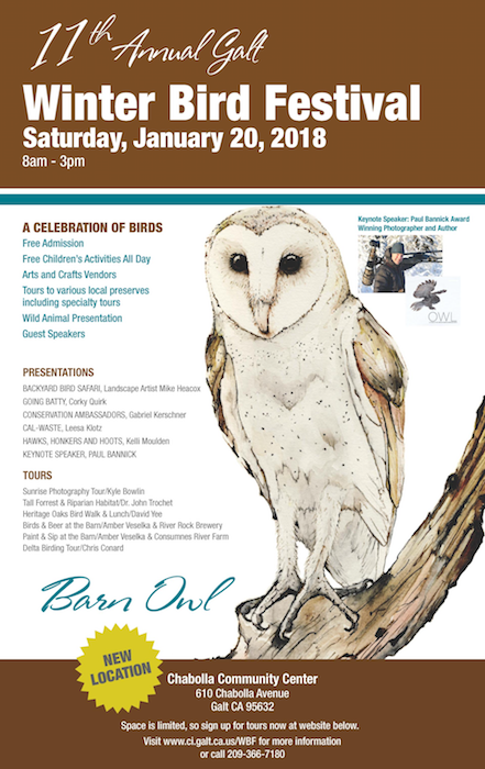 11th Annual Galt Winter Bird Festival 1/10/18 | Natural History Wanderings