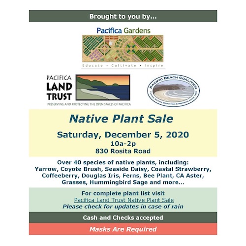 Native Plant Sale in Pacifica | Natural History Wanderings
