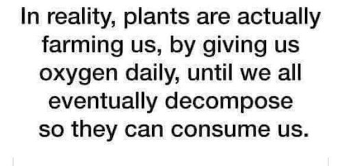 The Real Plant-Human Relationship | Natural History Wanderings